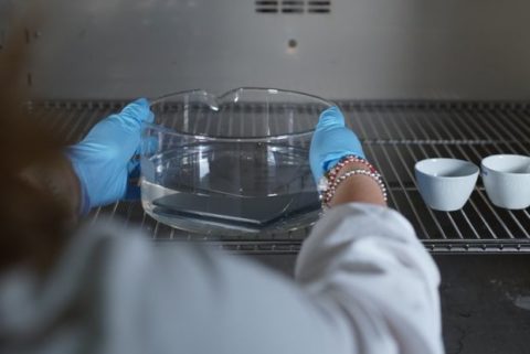 FCMs Food contact materials and objects - TEC Eurolab